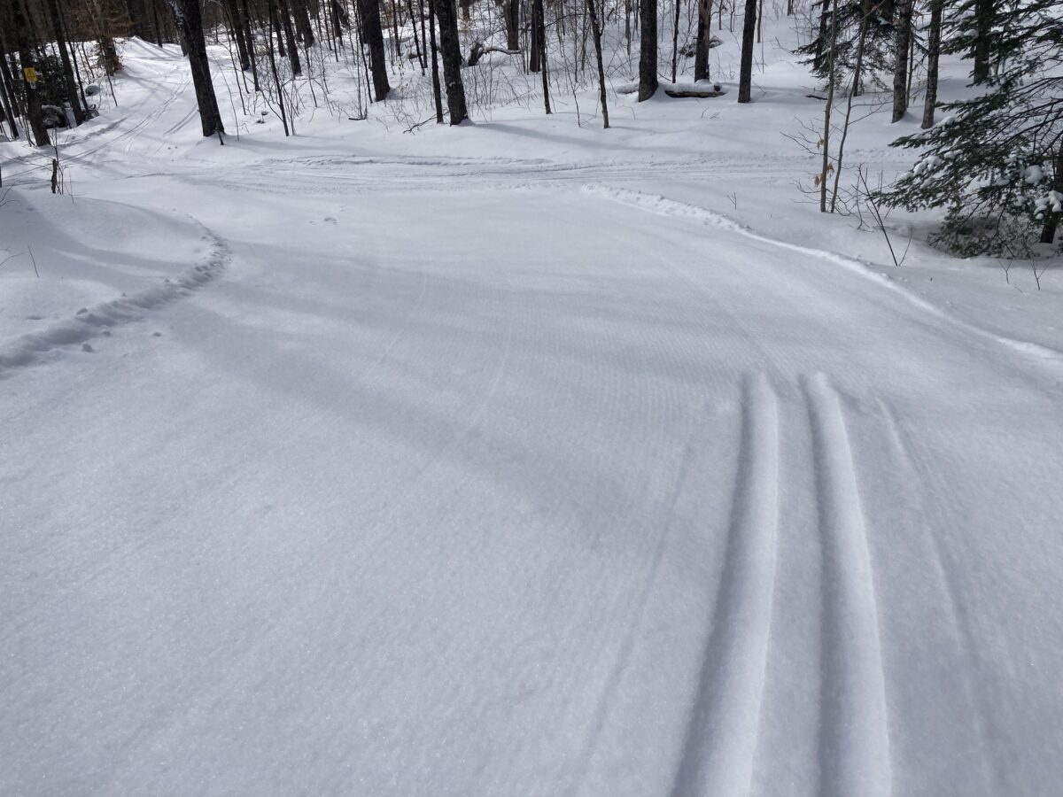 This is the day, really great skiing! – Wild Wings Nordic Skiing