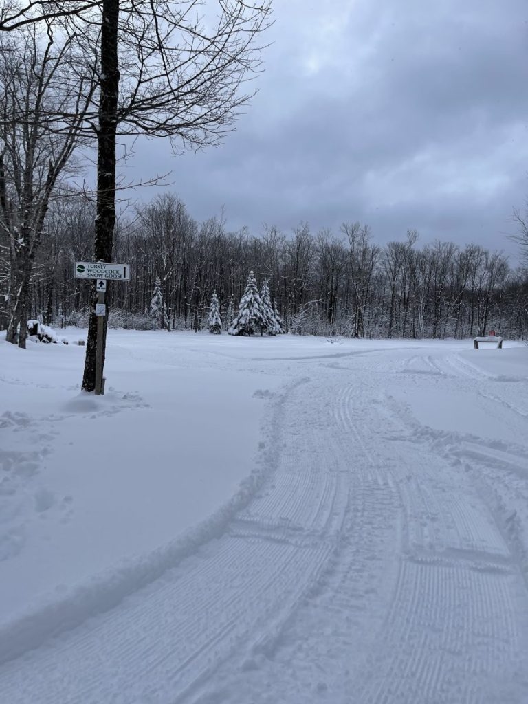 Three and a half inches of new snow! – Wild Wings Nordic Skiing