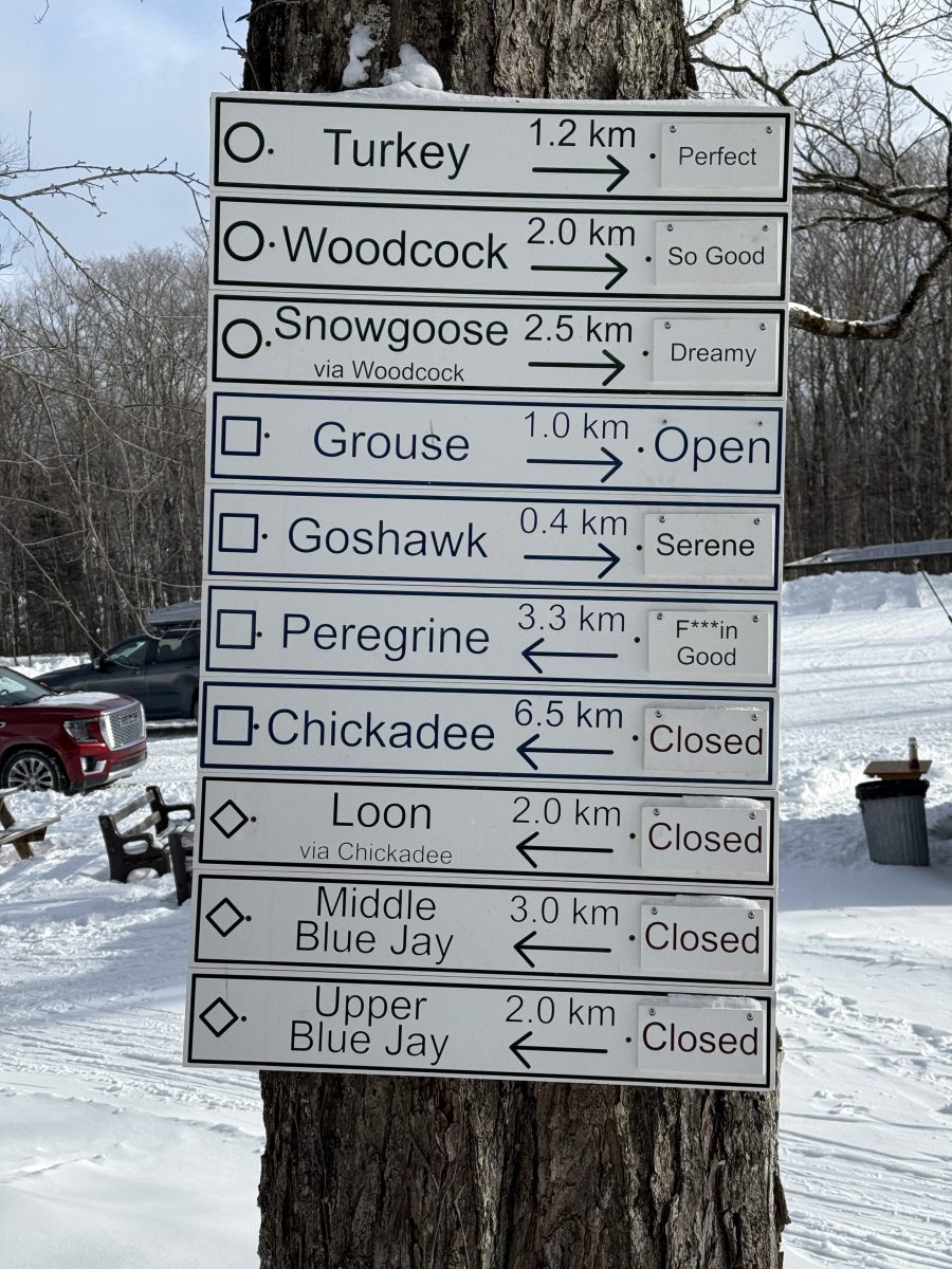 The skiing is superb! And looks good for the week. – Wild Wings Nordic ...